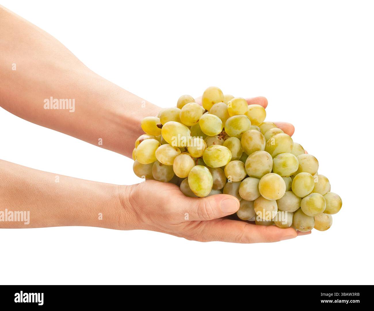 white grape in hand path isolated on white Stock Photo - Alamy