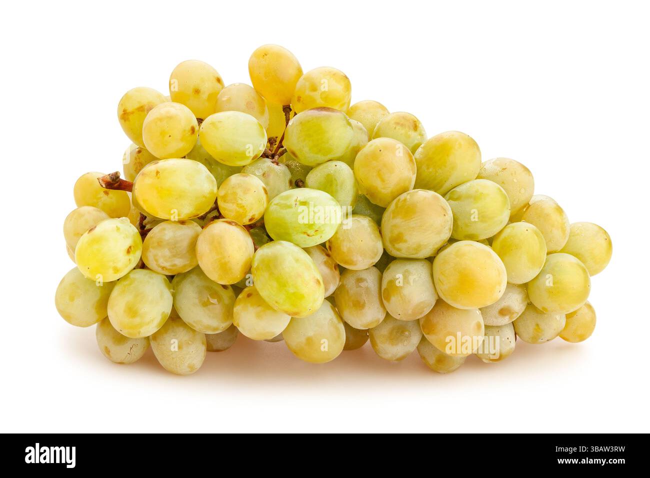 white grape path isolated on white Stock Photo - Alamy