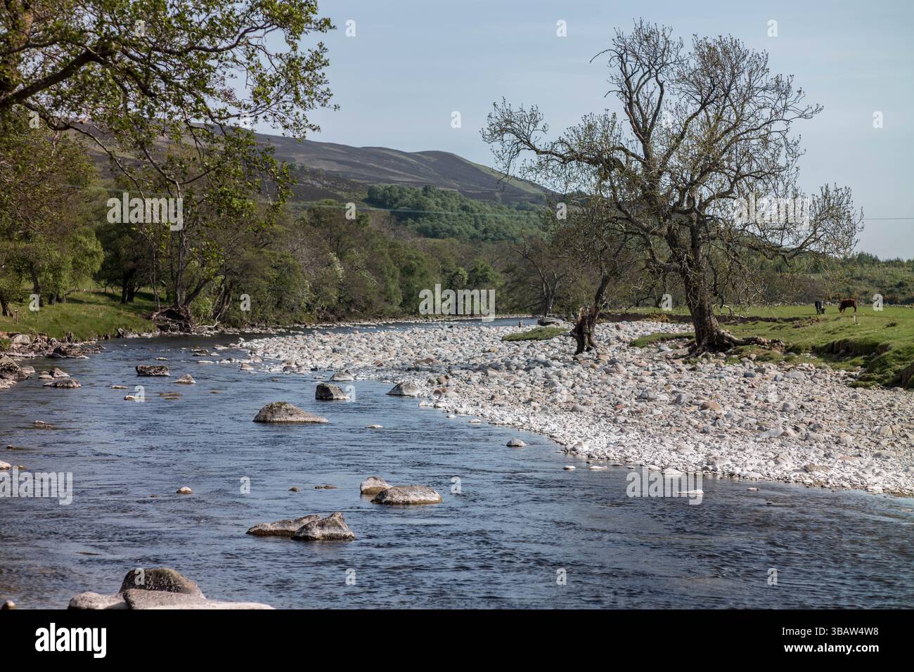 Low water flow in the Water of Lee river after many weeks without ...