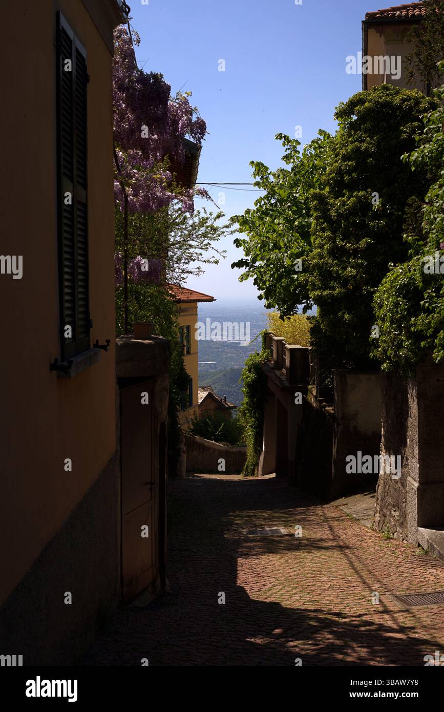 Charming narrow alley with cobblestone path, flowering wisteria, and ...