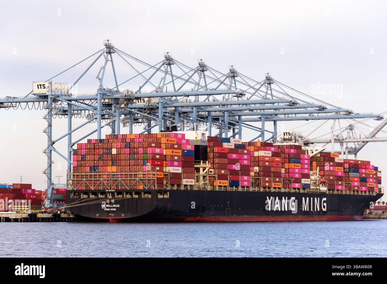 The Yang Ming Wellhead, a cargo ship is loaded with shipping containers ...