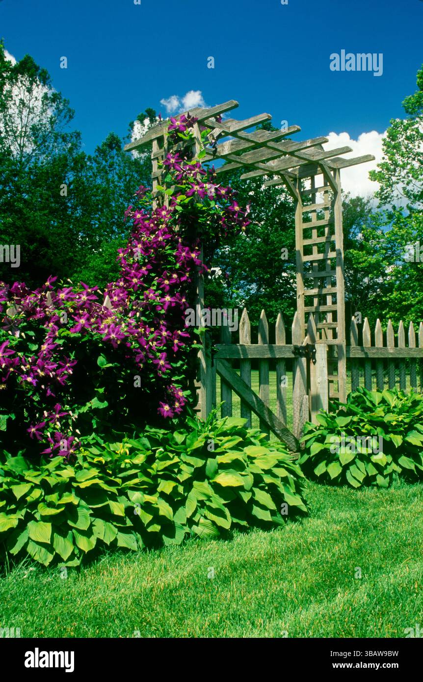 wooden trellis entryway gate into vegetable garden, Missouri, USA Stock ...