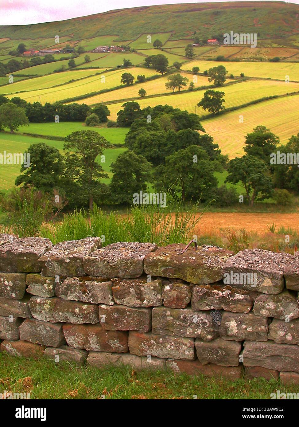 Yorkshire moors with rock wall and fields, UK Stock Photo - Alamy
