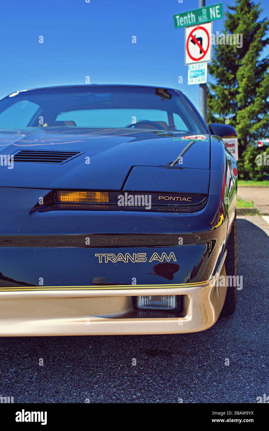 Close-up front view of a black and gold Pontiac Trans Am muscle car ...
