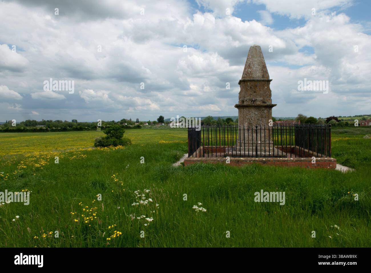 Isle of athelney hi-res stock photography and images - Alamy