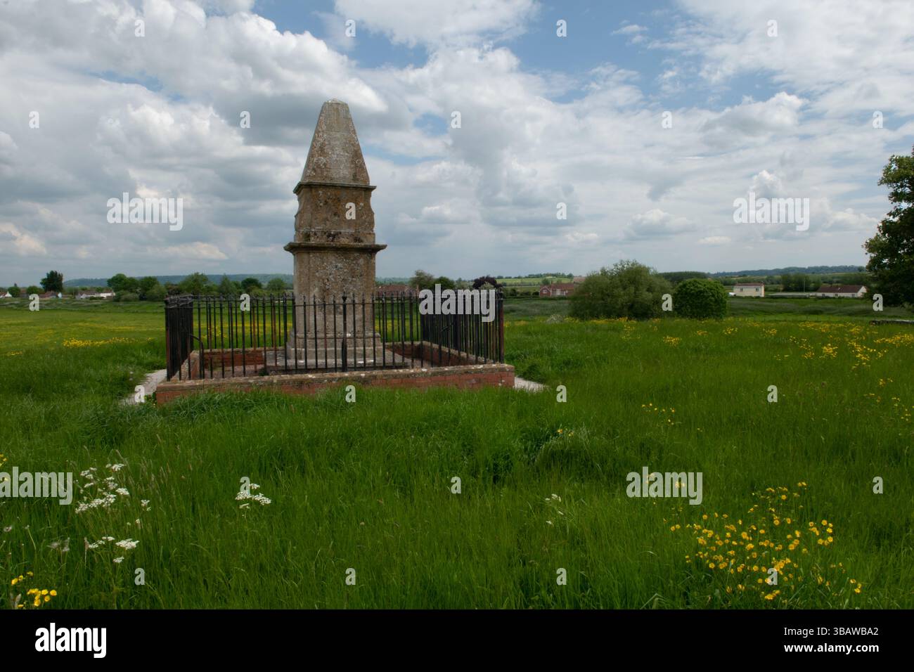 Isle of athelney hi-res stock photography and images - Alamy