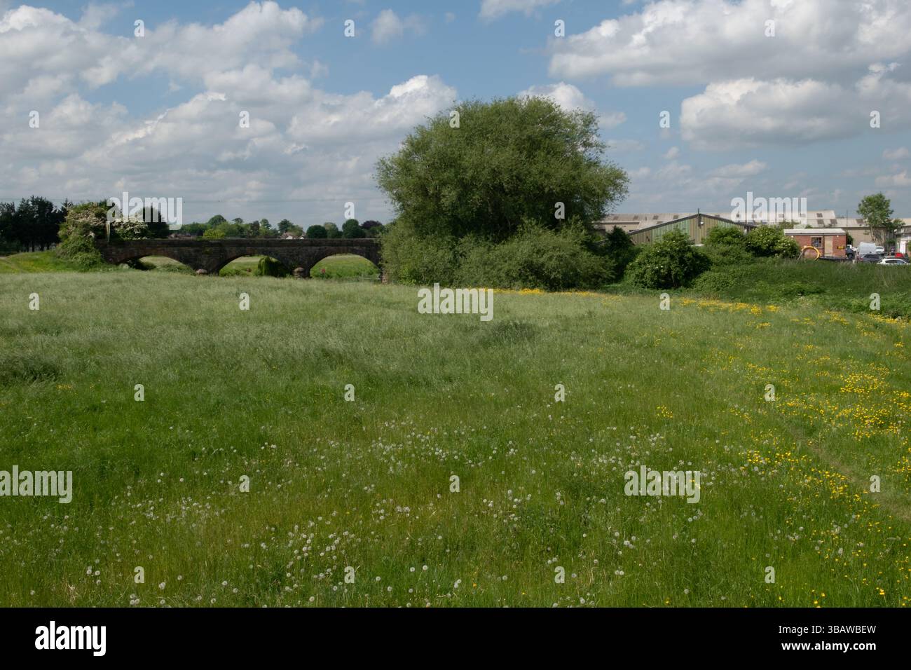 Five Arch Bridge, Creech St Michael, Somerset, England Stock Photo - Alamy