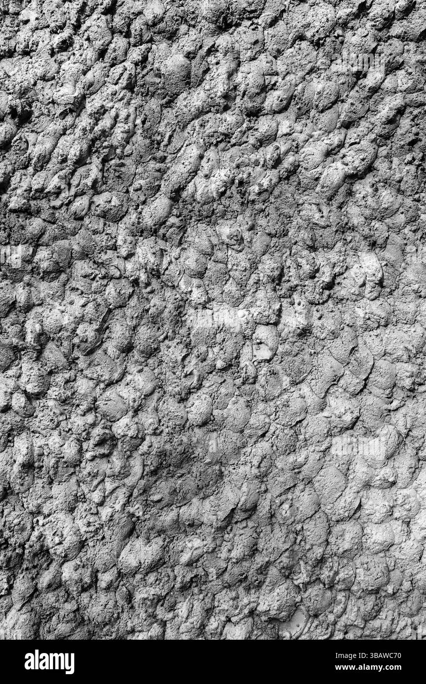 Rough cast of concrete and cement coating on the wall as background ...