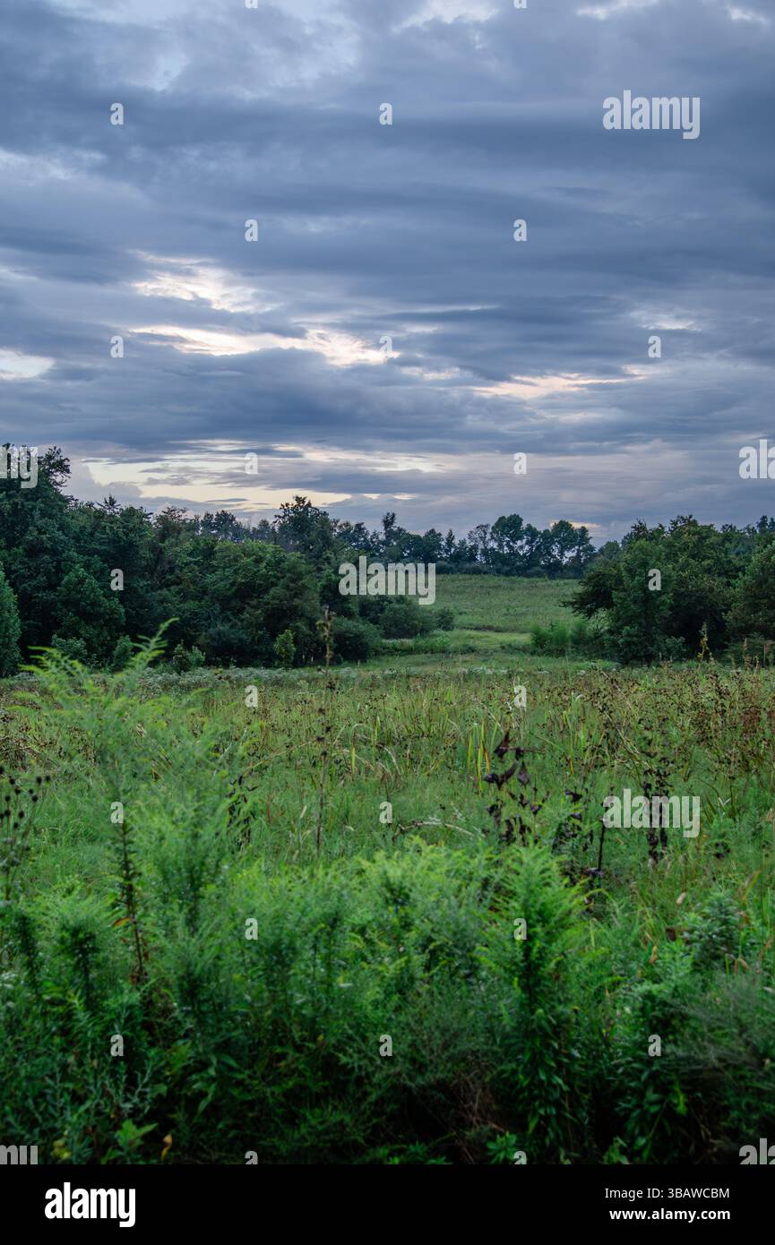 Calm cloudy sky hi-res stock photography and images - Alamy