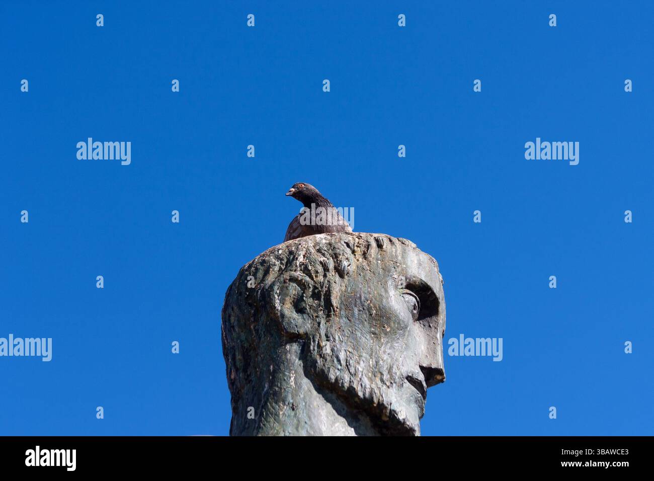 Modern statue with pigeons on its head and shoulders under a clear blue ...