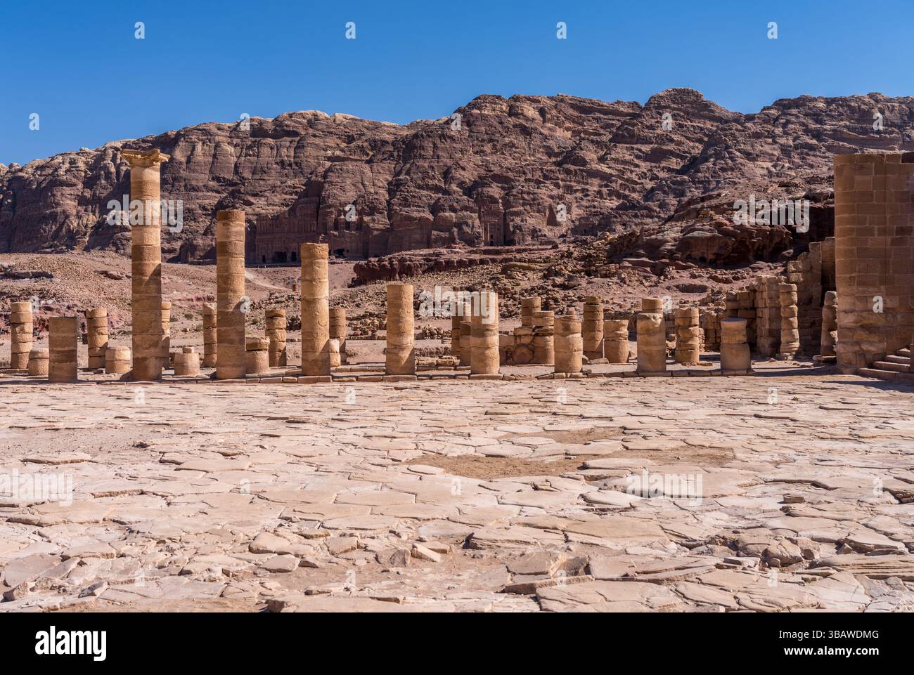 Columns at the Great Temple or Royal reception hall in Petra in Jordan ...