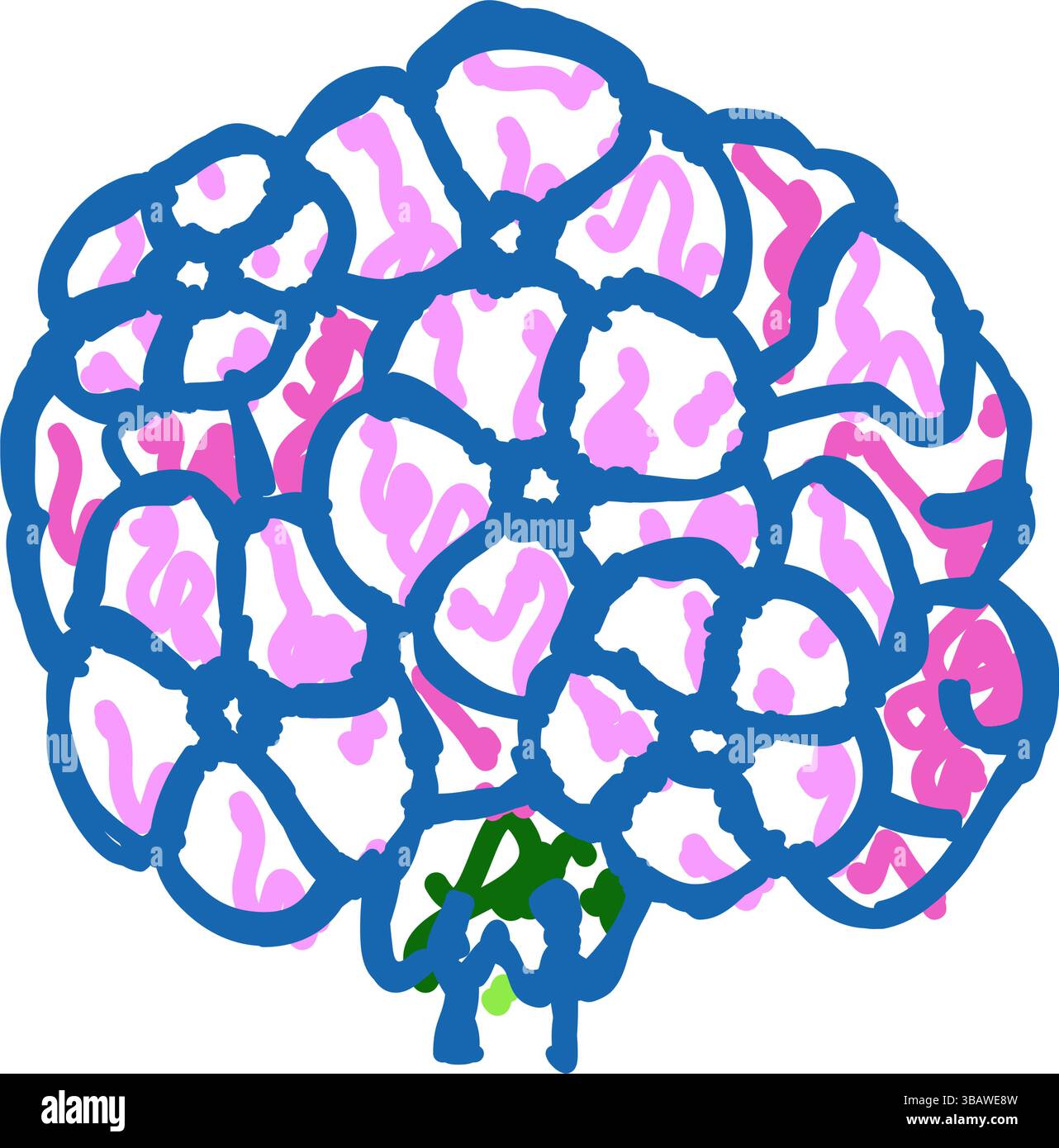 geranium blossom spring icon doodle illustration Stock Vector Image ...