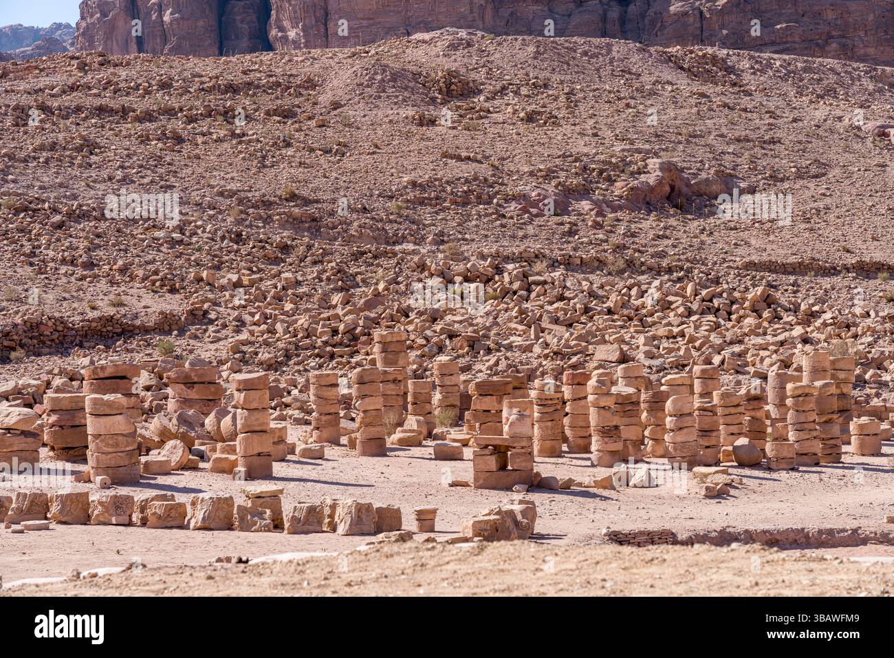 Columns at the Great Temple or Royal reception hall in Petra in Jordan ...