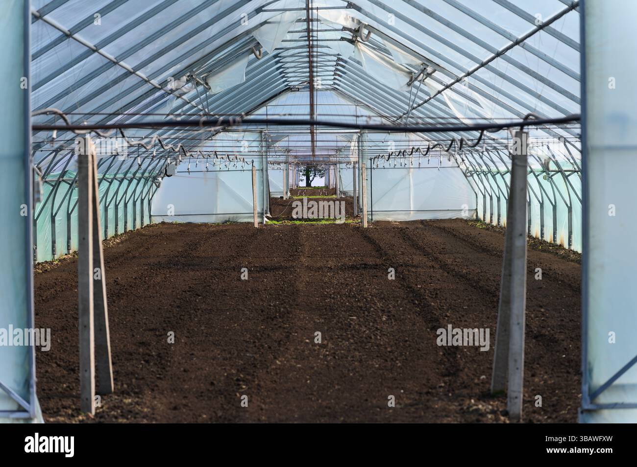 Interior of a large empty greenhouse with clean, tilled soil ready for ...