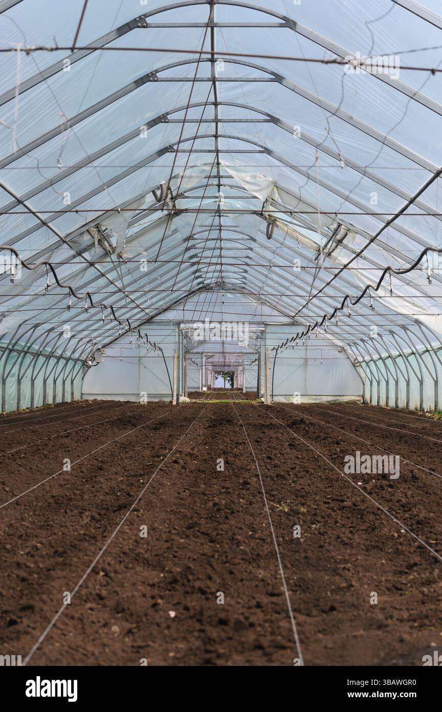 Interior of a large empty greenhouse with clean, tilled soil ready for ...