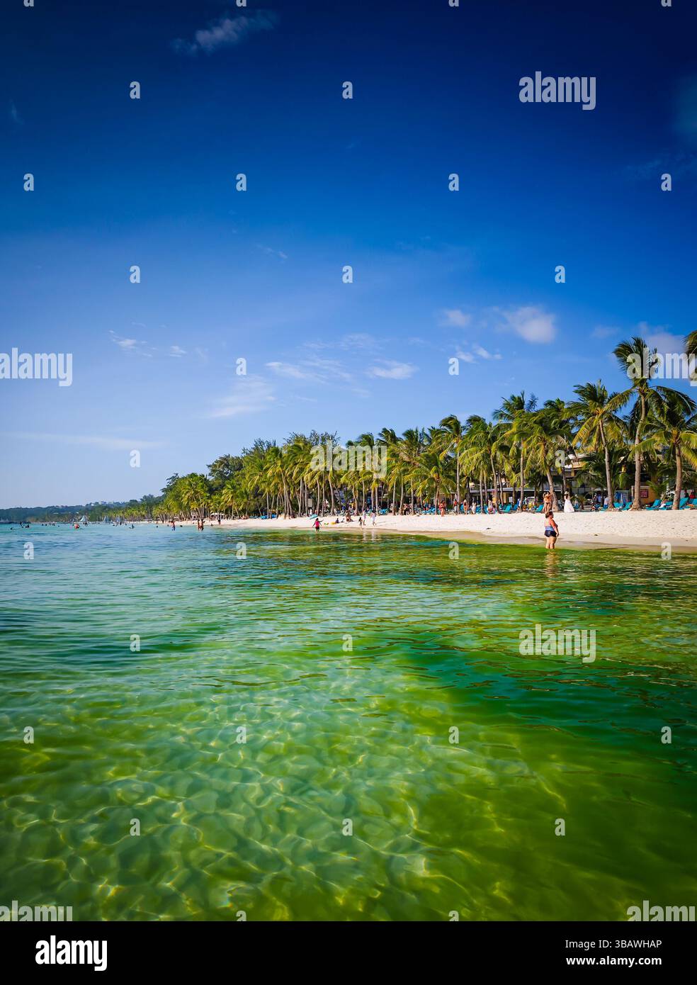 05 13 2025 - Boracay, Philippines. Massive algae bloom making emerald ...