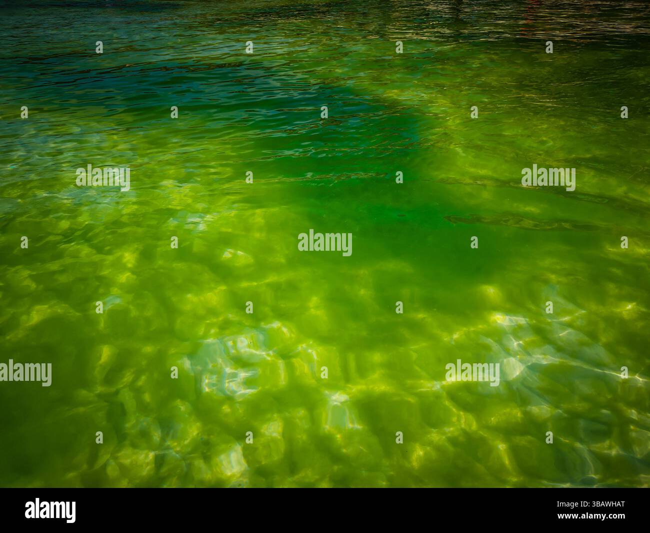 Massive algae bloom making emerald green ocean water in Boracay island ...