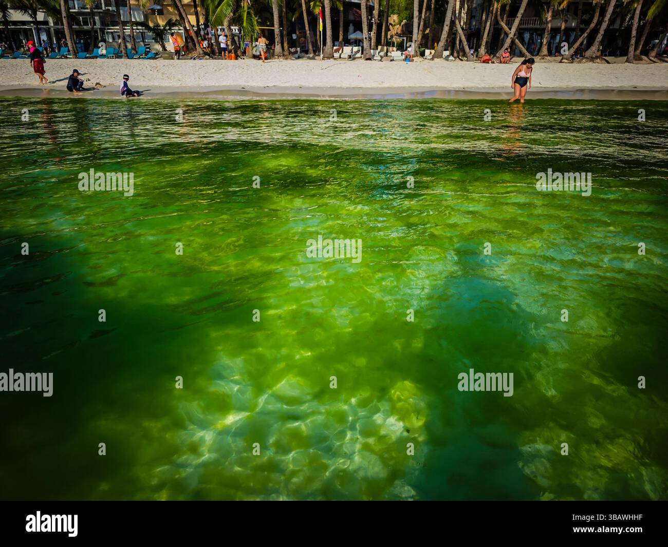 05 13 2025 - Boracay, Philippines. Massive algae bloom making emerald ...