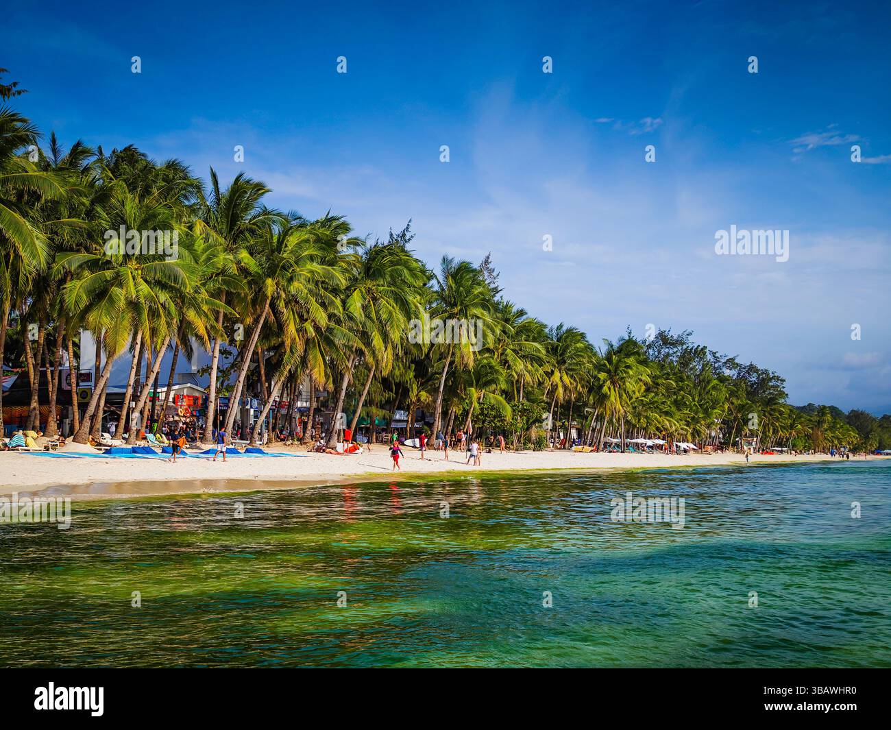 05 13 2025 - Boracay, Philippines. Massive algae bloom making emerald ...