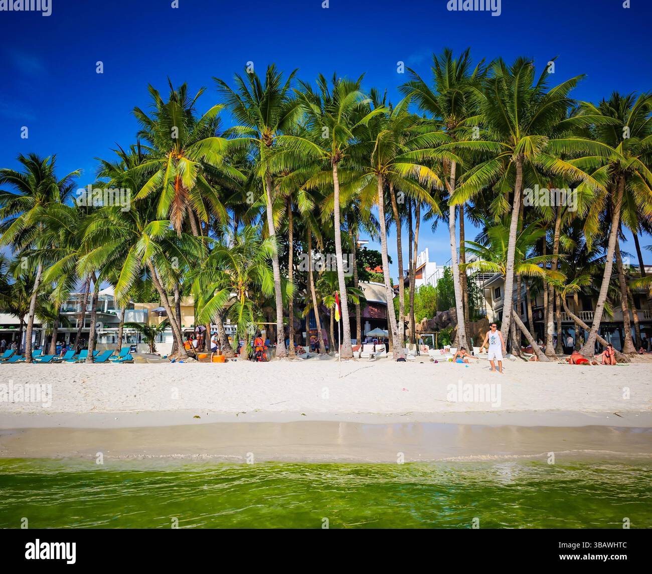 05 13 2025 - Boracay, Philippines. Massive algae bloom making emerald ...