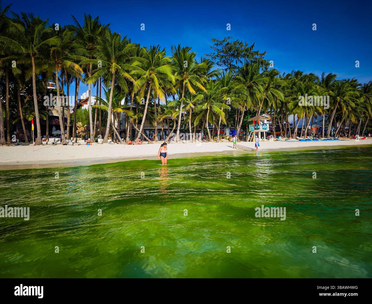 05 13 2025 - Boracay, Philippines. Massive algae bloom making emerald ...