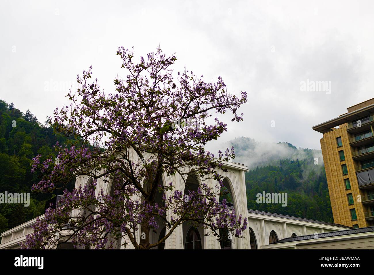 the historic swiss city of bad ragaz Stock Photo - Alamy