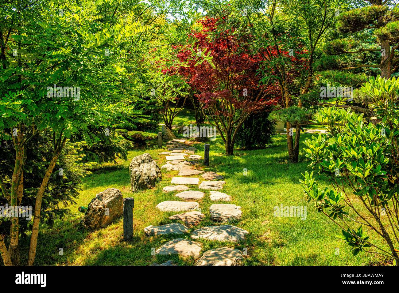 A public park with dense ornamental vegetation and a cobblestone path ...