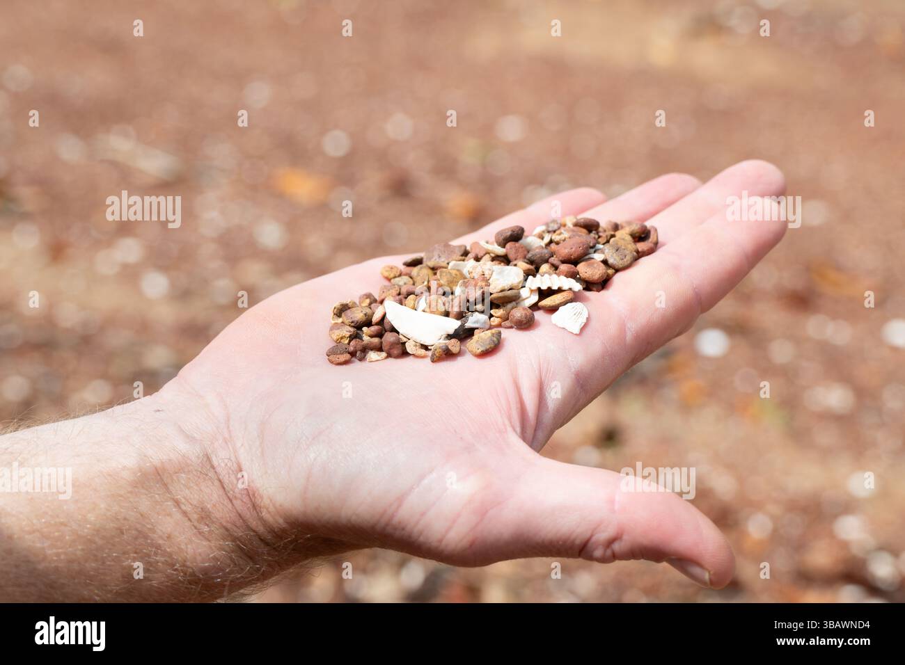 Red Beach, Weipa Queensland Australia, hand holding red iron oxide rich ...