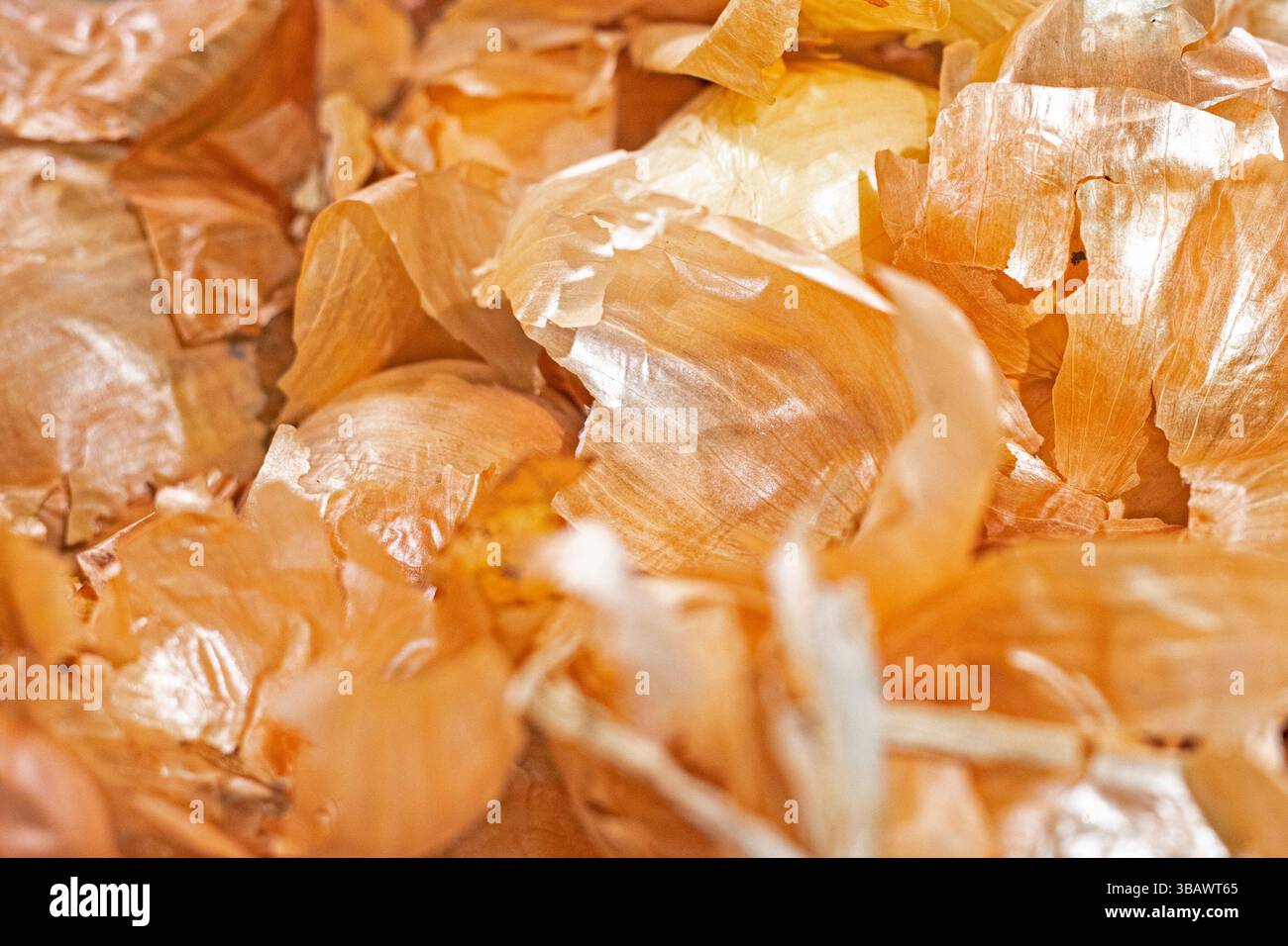 Layers like an onion hi-res stock photography and images - Alamy