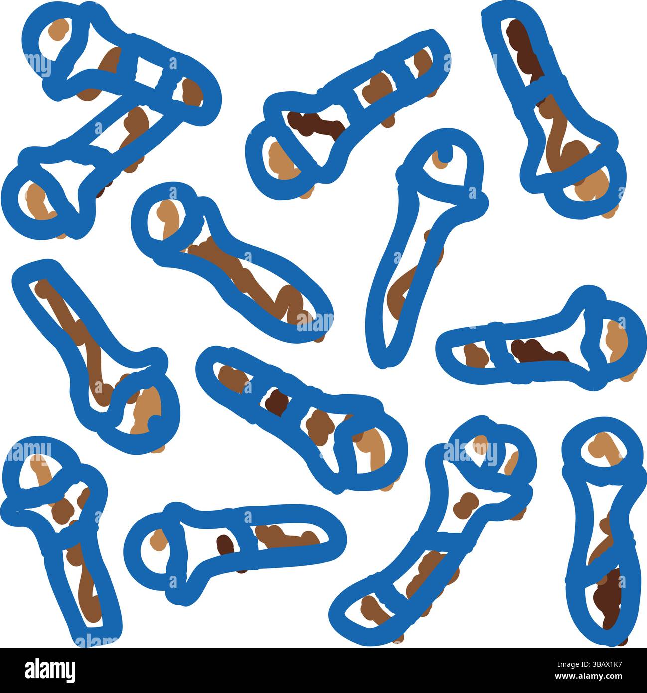 Garlic clove dill pepper Stock Vector Images - Alamy