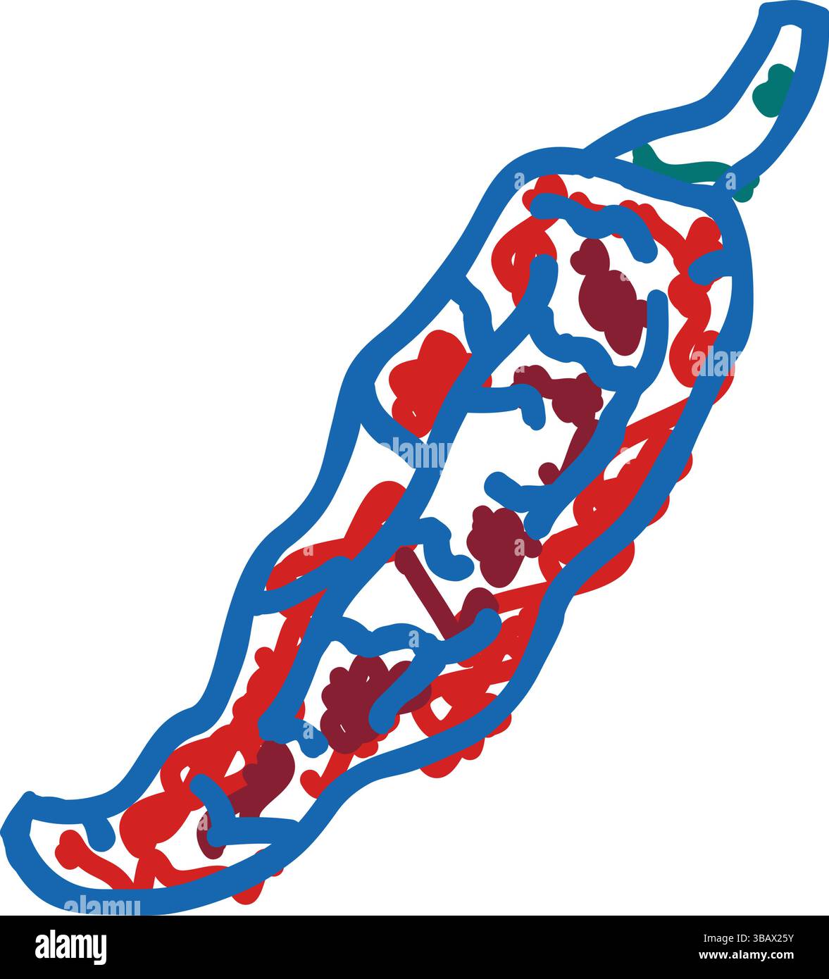 paprika food herb doodle icon sketch vector. paprika food herb sign ...