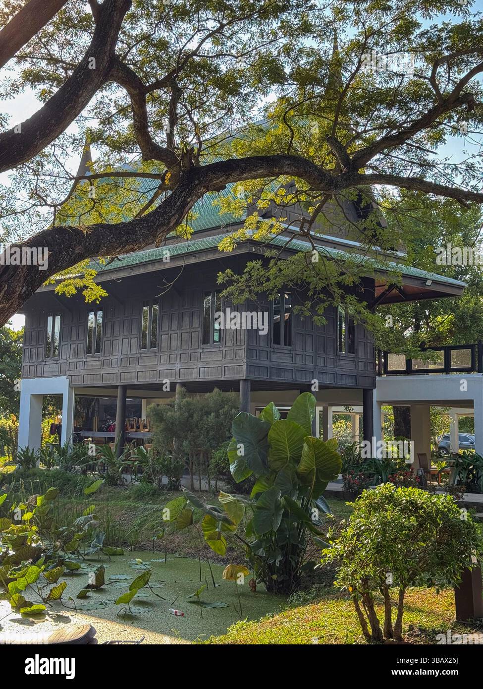 Wooden building in the elephant sanctuary next to the lake with lotus ...