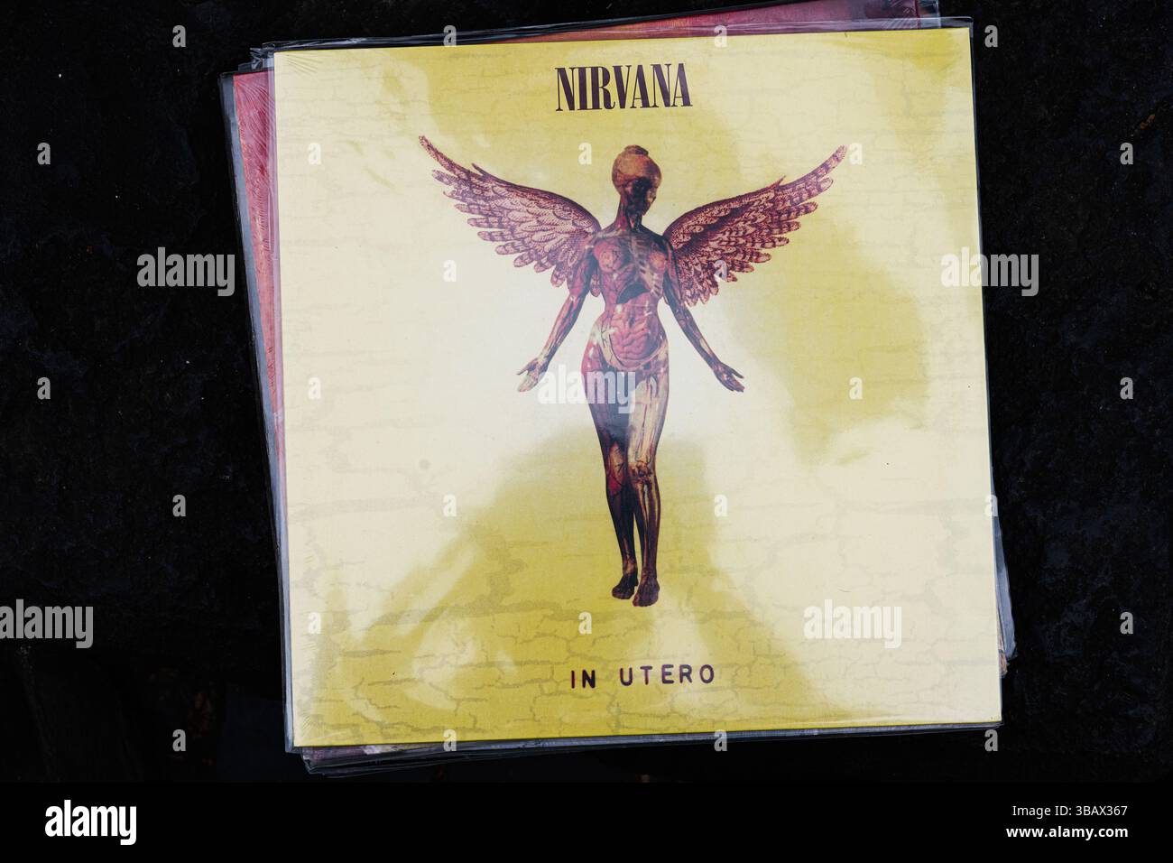 Lviv, Ukraine - May 13, 2025: Vintage Nirvana In Utero vinyl 1993 third ...