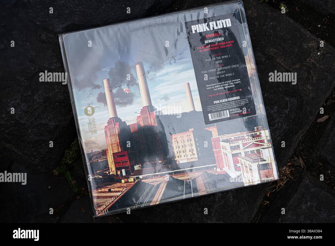 Lviv, Ukraine - May 13, 2025: Vinyl record of Pink Floyd Animals 1977 ...