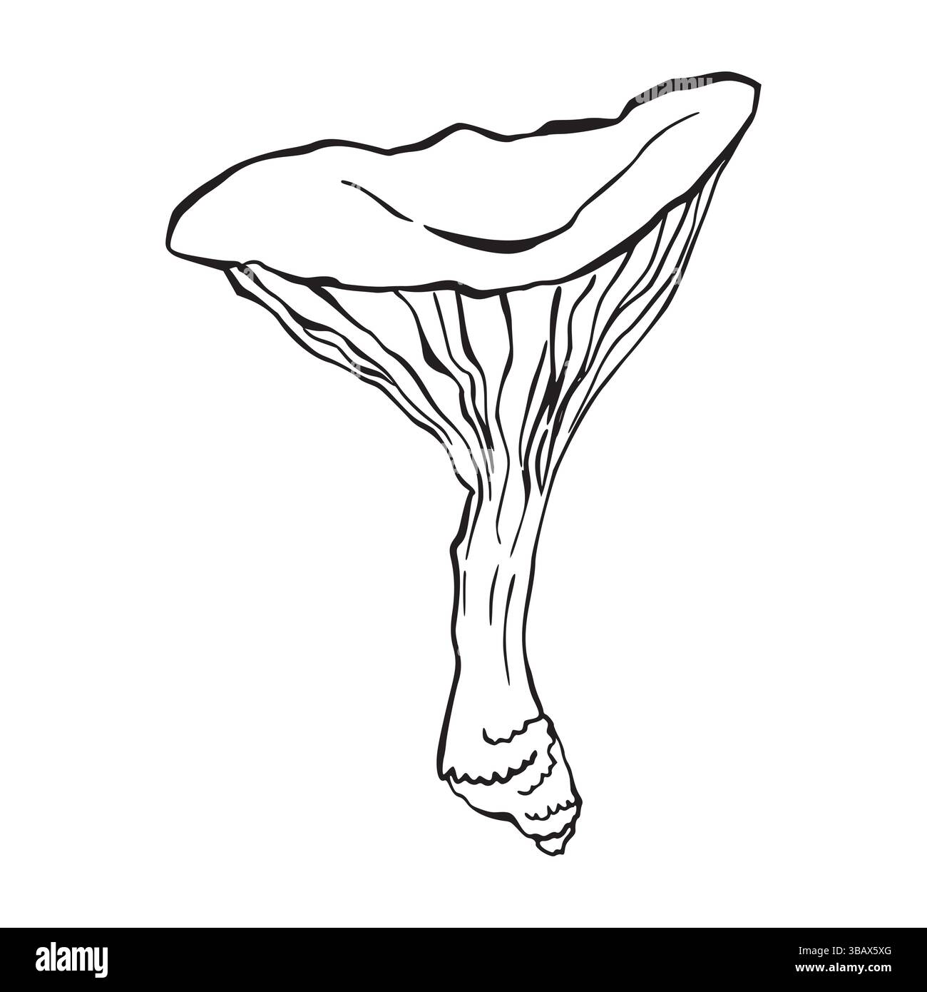 Linear white mushroom hand Stock Vector Images - Alamy