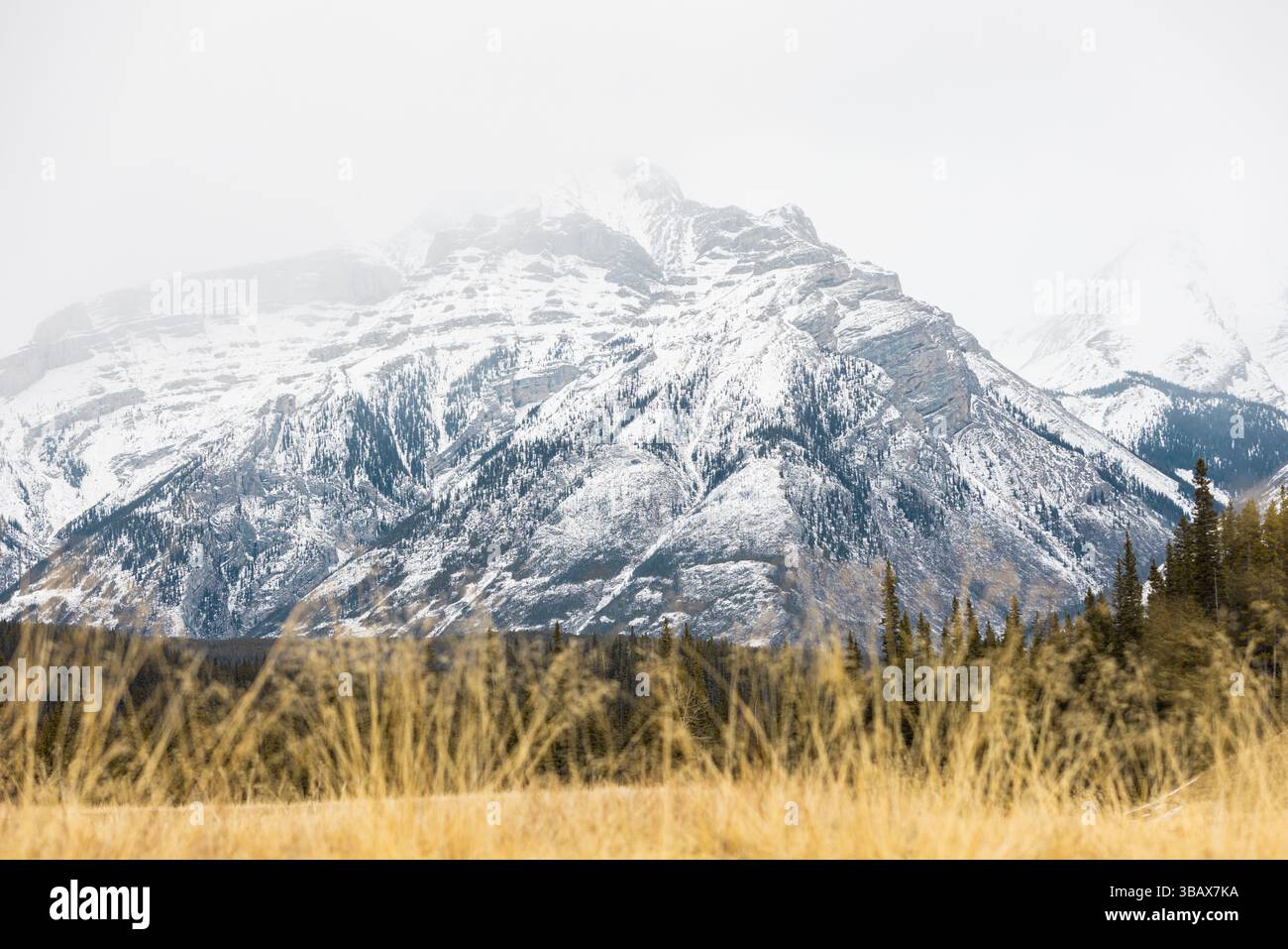 Canada environment immersive hi-res stock photography and images - Alamy