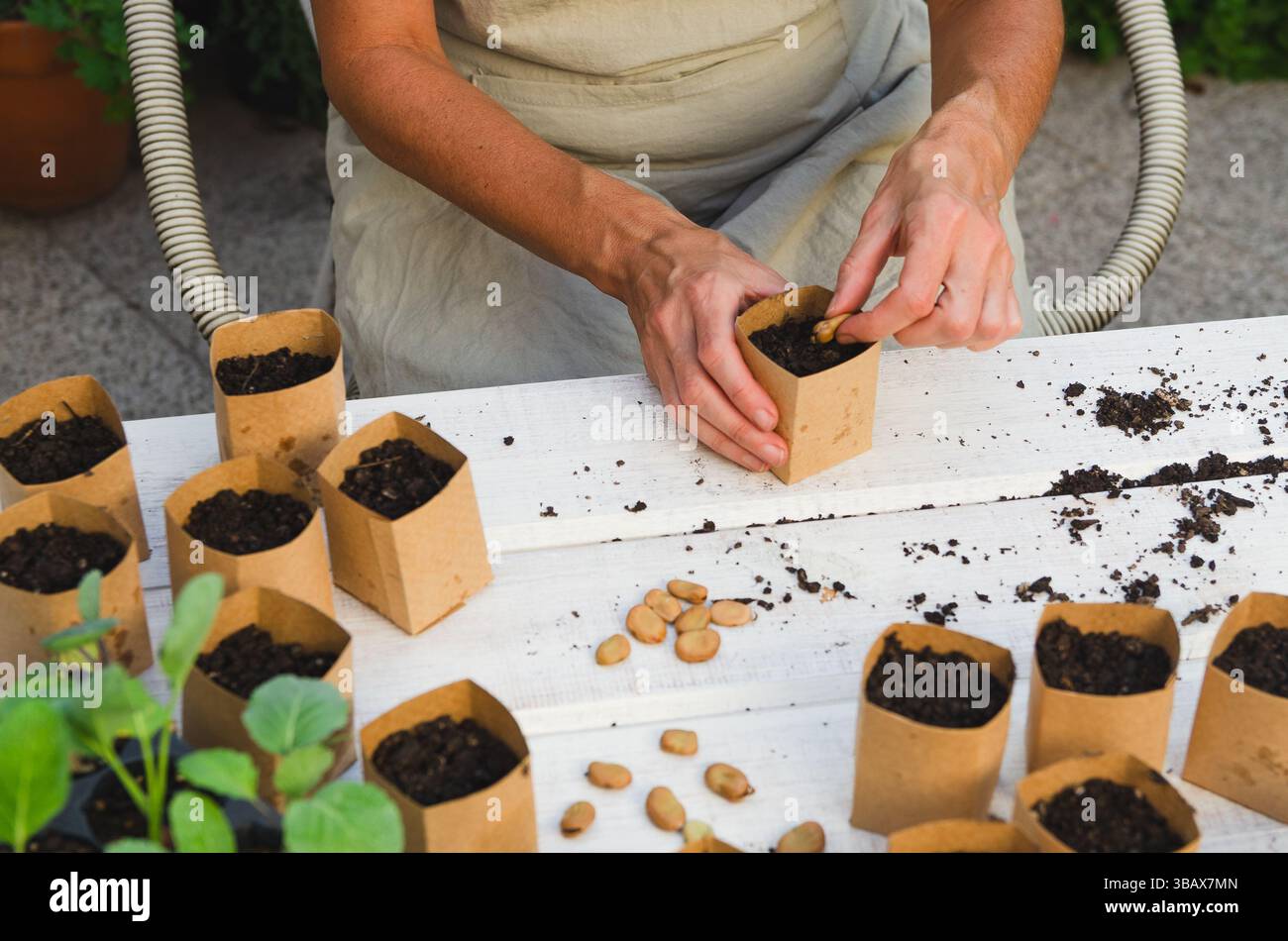 Sowing seeds in urban hi-res stock photography and images - Alamy