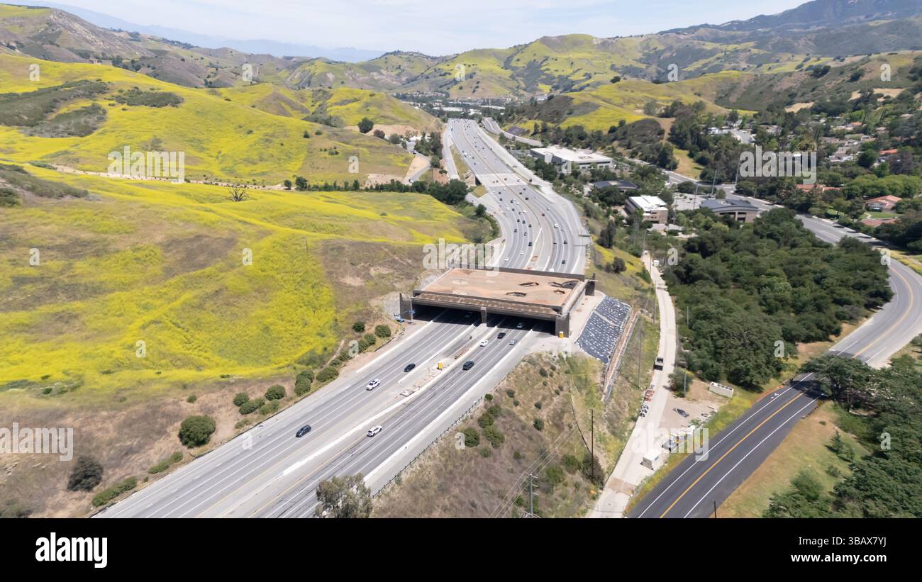 Aerial photograph of the Wallis Annenberg Wildlife Crossing in Agoura ...
