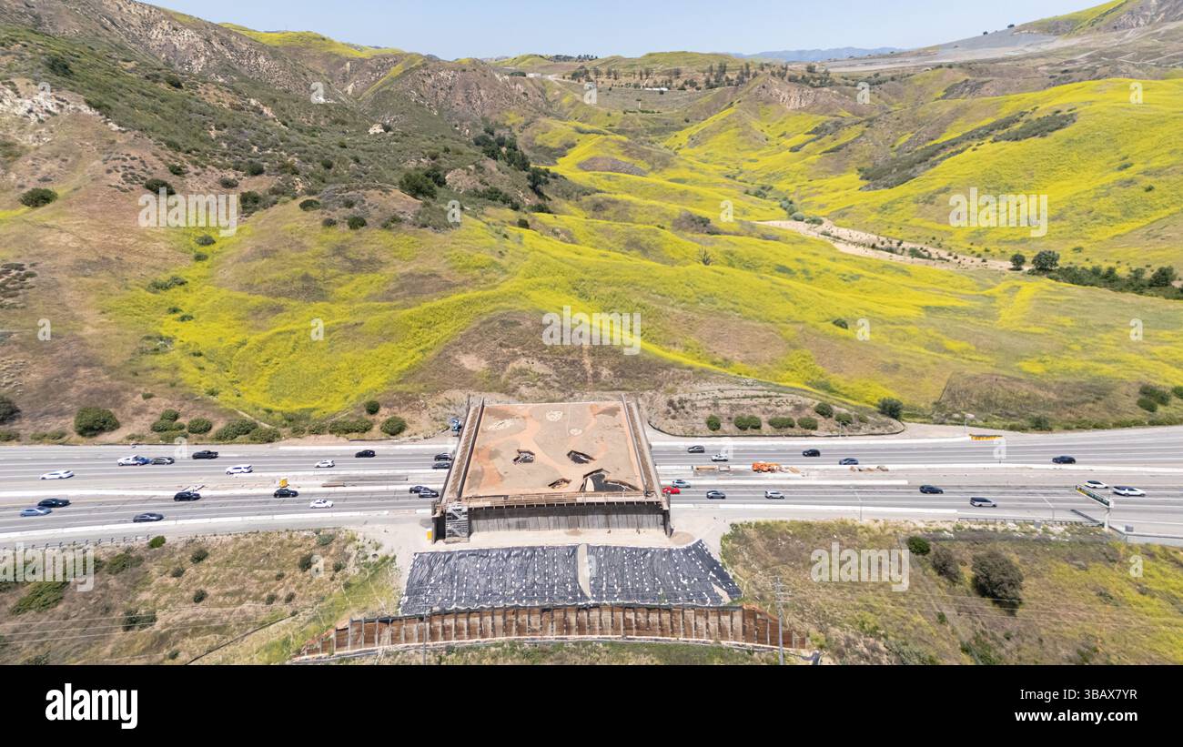 Aerial photograph of the Wallis Annenberg Wildlife Crossing in Agoura ...