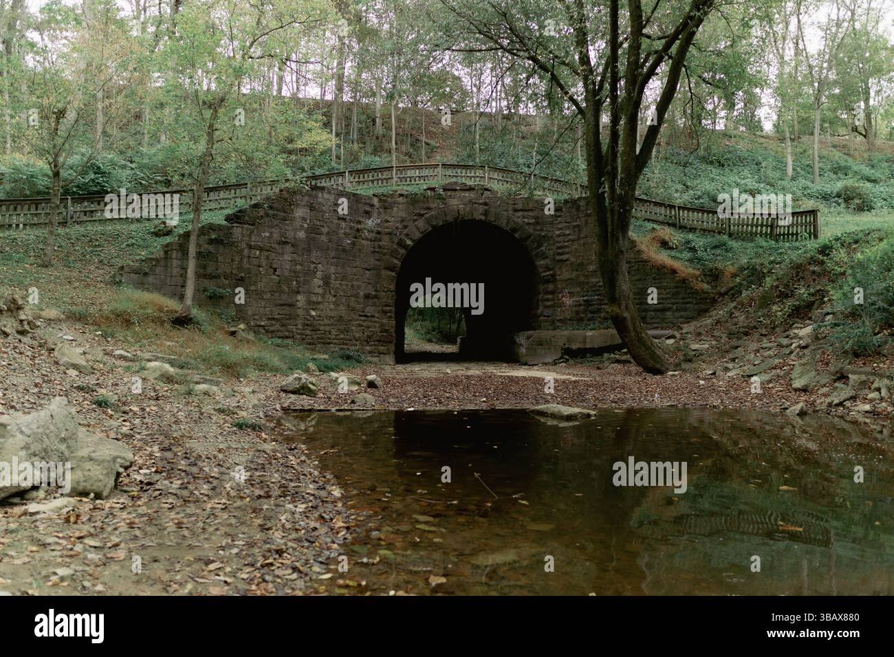 Forest path leading historic stone hi-res stock photography and images ...