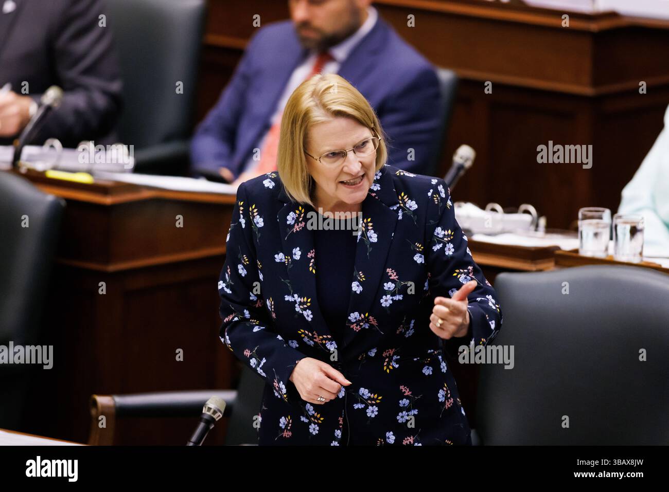 Toronto, Canada. 13th May, 2025. Liberal MPP Stephanie Smyth speaks ...