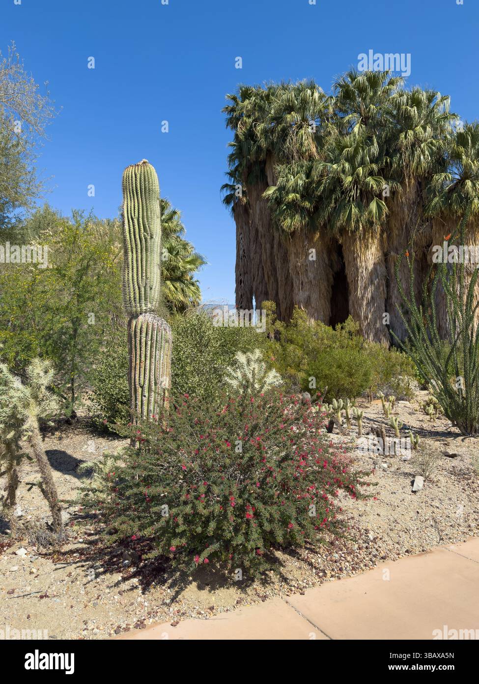 Palm Desert, California, USA - April 26, 2025: Living Desert Zoo and ...