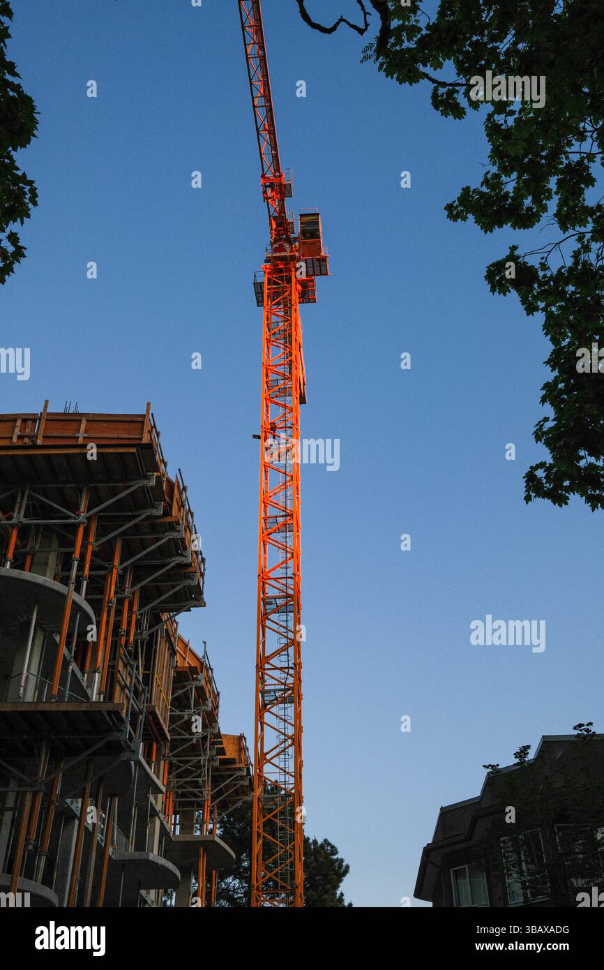 Tall crane through trees hi-res stock photography and images - Alamy
