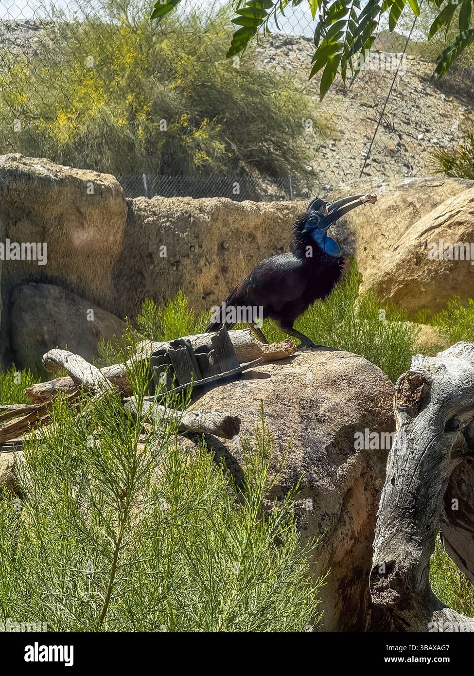 Palm Desert, California, USA - April 26, 2025: Living Desert Zoo and ...