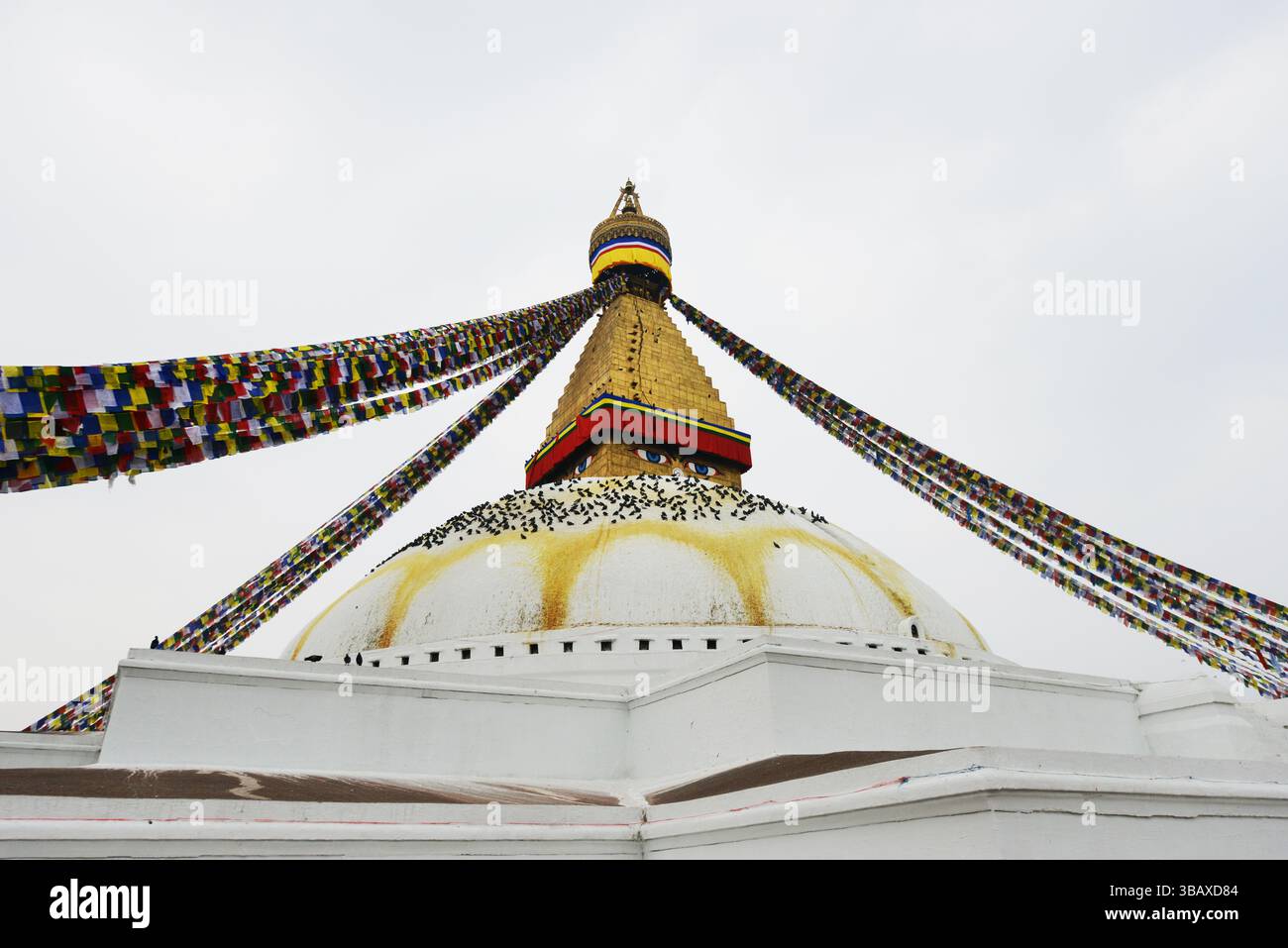 The beautiful stupa at the Boudhanath temple in Kathmandu, Nepal Stock ...