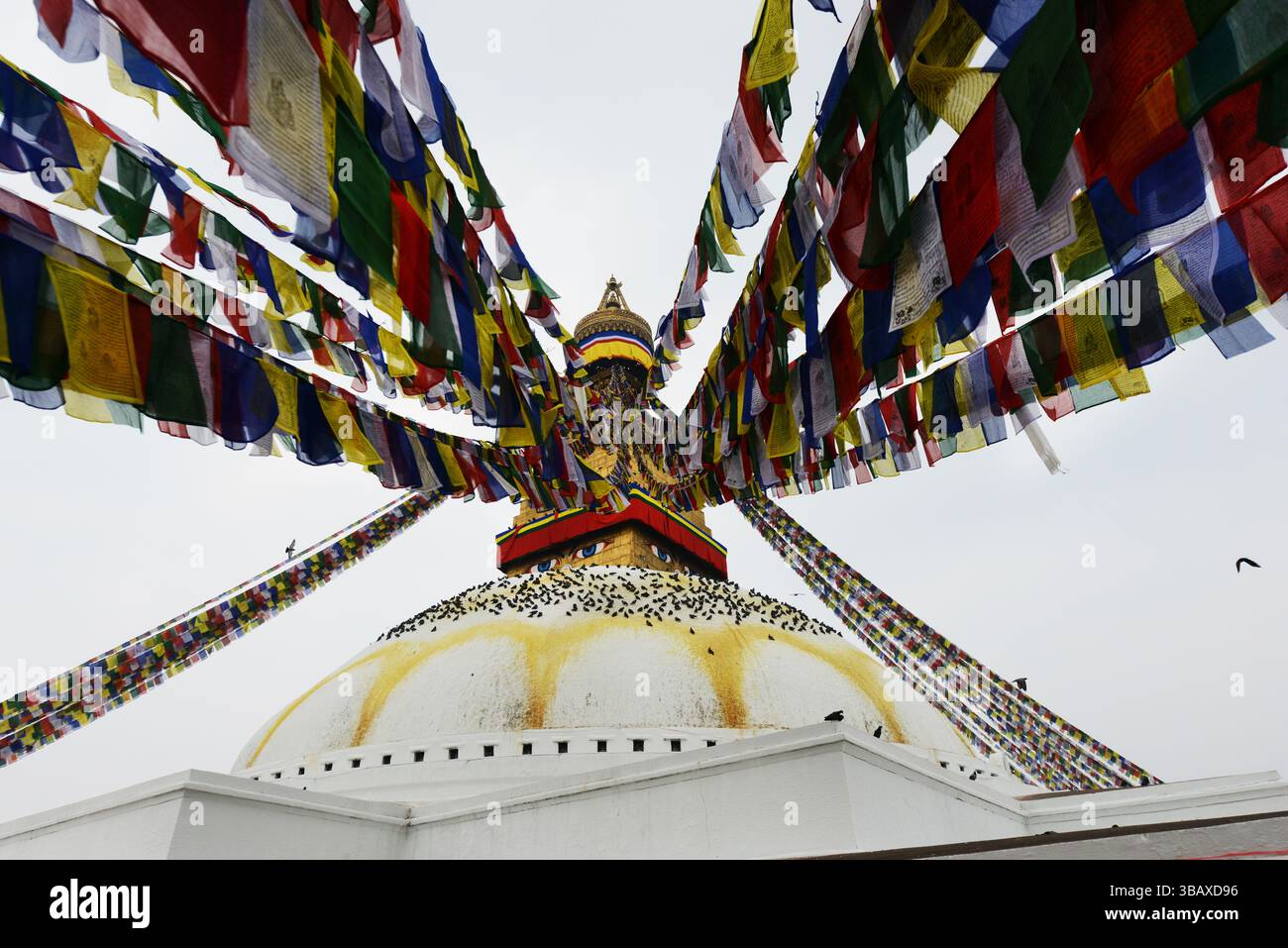 The beautiful stupa at the Boudhanath temple in Kathmandu, Nepal Stock ...
