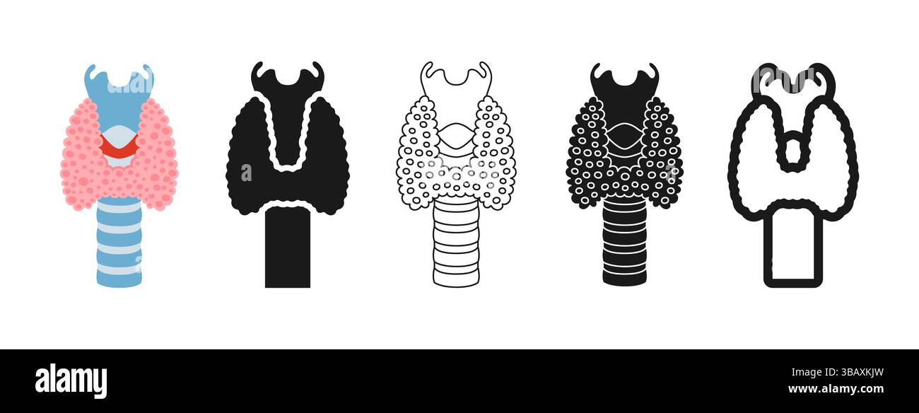 Human thyroid gland cartoon symbol set. Anatomical hormone gland organ ...