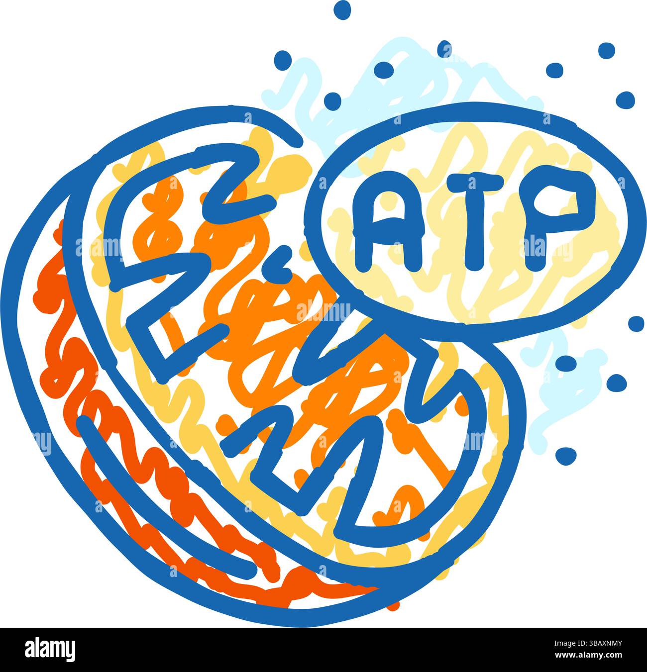 cellular respiration biochemistry icon doodle illustration Stock Vector ...