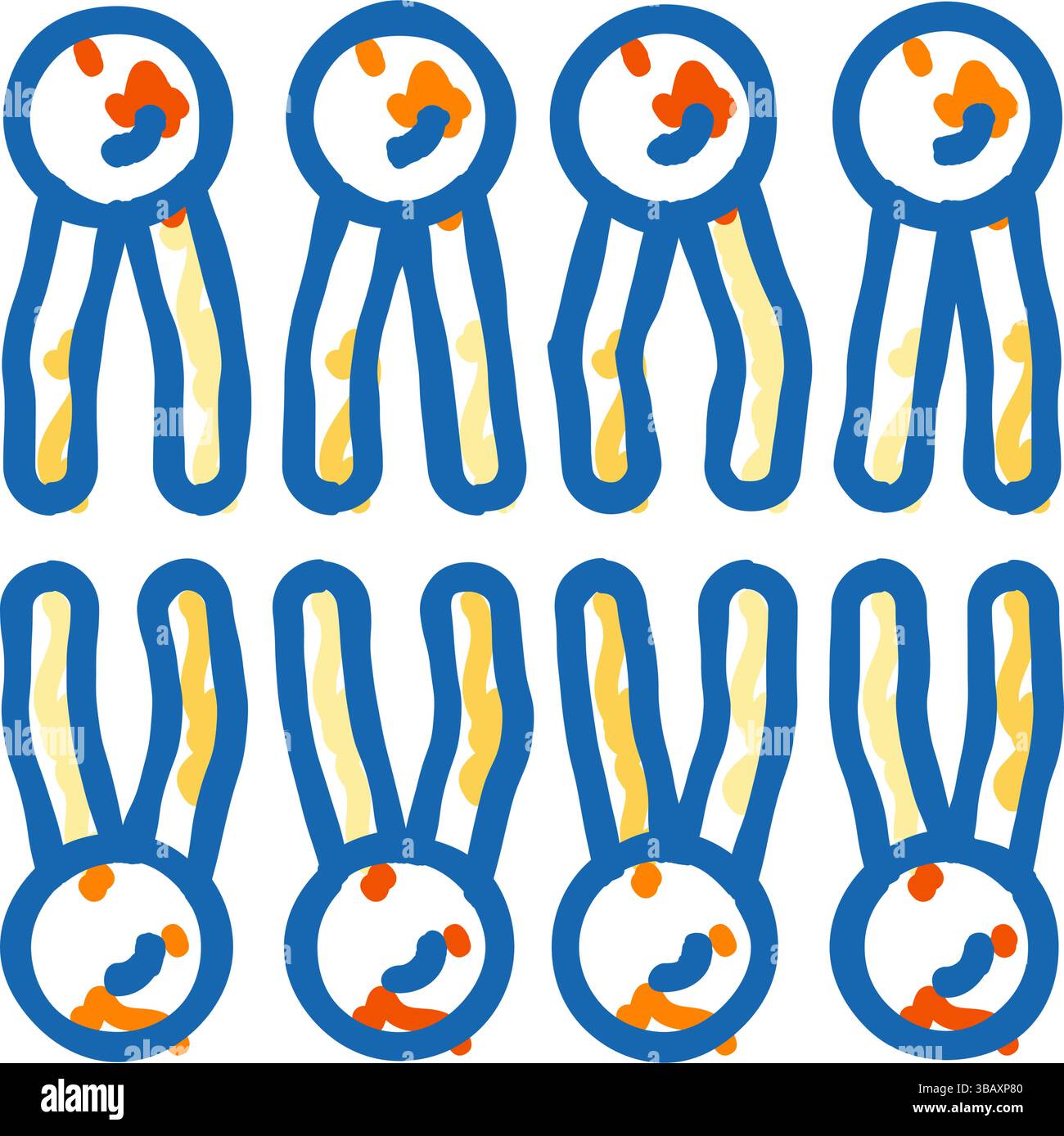 lipid membrane biochemistry icon doodle illustration Stock Vector Image ...