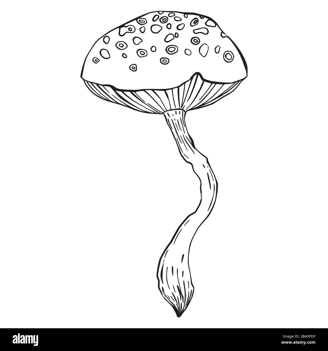 Mushroom in ink sketching style isolated. Hand drawn food item. Outline ...